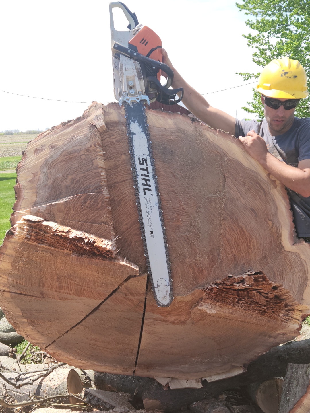 Tree Services in Pickerington, Newark, & Millersport, OH | Timber Tech ...